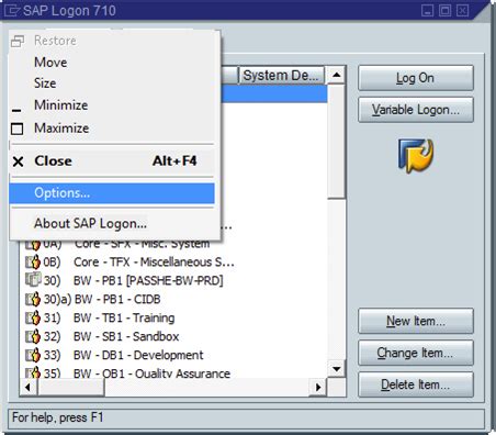 SAP Logon INI File Installation Windows HeelpBook