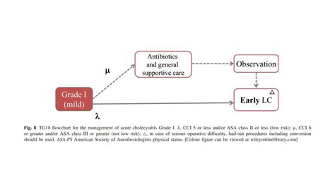Tokyo Guidelines Acute Cholecystitis Pptx