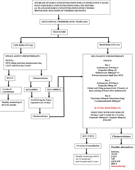 Treatment Algorythm In Gestational Trophoblastic Tumors Reference 12 Download Scientific Diagram