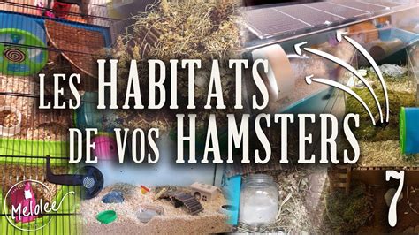 On Commente Vos Habitats Pour Hamsters 7
