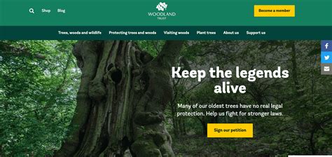 10 Best Tree Planting Organizations And Charities In 2022 Nonprofit Point