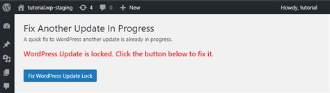 how to fix the error another update in progress in wordpress wp staging