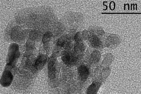 TEM Image Of TiO2 Nanoparticles In PVE Lubricant Download Scientific Diagram
