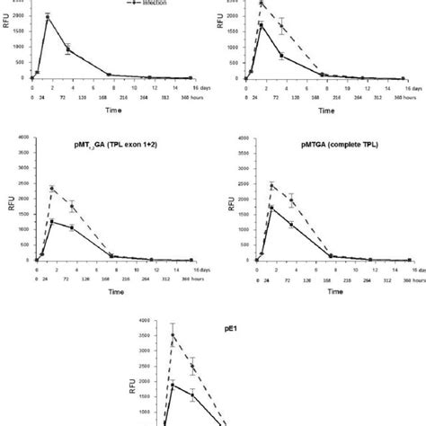 Gfp Fluorescence Intensity Over 155 Days Post Transfection In Cho