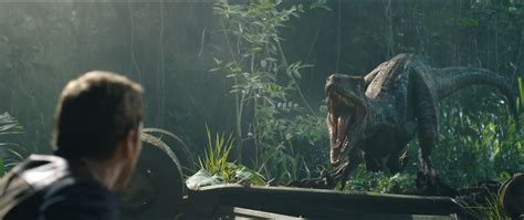 Jurassic World Fallen Kingdom Blue 10 By Giuseppedirosso On Deviantart