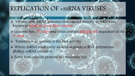 Replication Of Rna Viruses With Diagrams Pptx