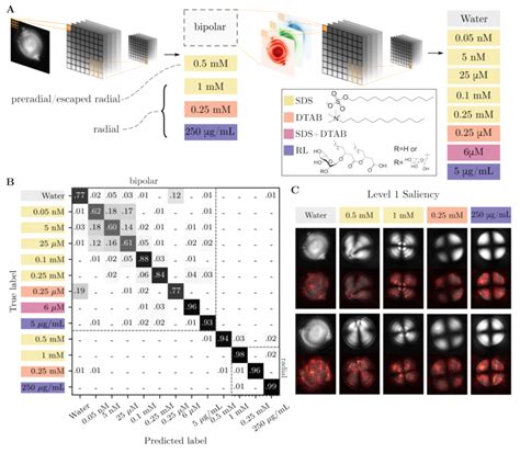 Classification Of Multiple Surfactants Using Hierarchical Cnn A