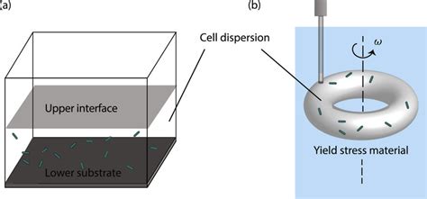 Schematic For The A Planar Interface Confinement Experiment And For Download Scientific