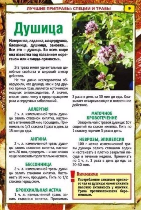 сад огород | Gesundheit und fitness, Heilpflanzen, Gesundheit