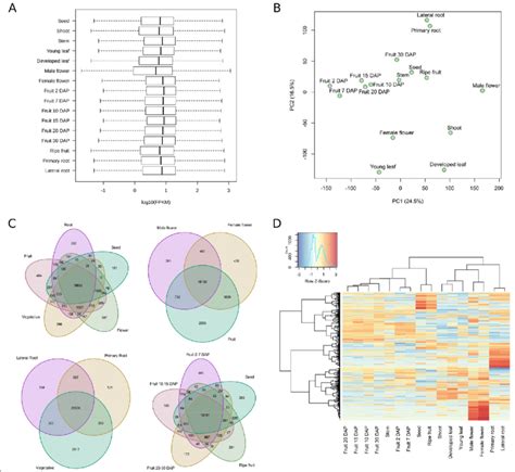 A Violin Plot Of The Distribution Of The Gene Expression In Tissues B Download Scientific