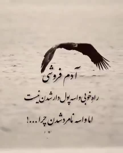 متن شاخ