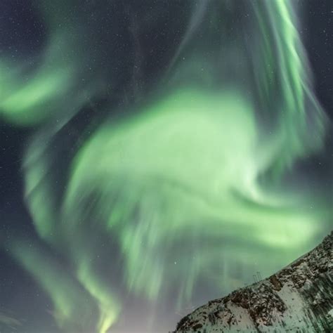 მომაჯადოებელი ჩრდილოეთის ციალი