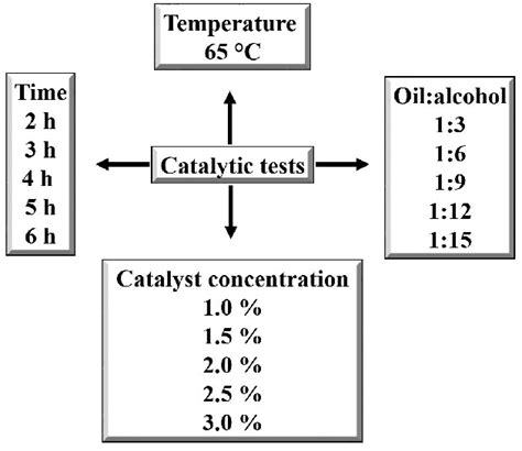 Experimental Design For Transesterification Reactions Download