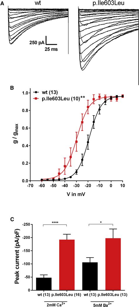 De Novo Pathogenic Variants In Cacna1e Cause Developmental And Epileptic Encephalopathy With