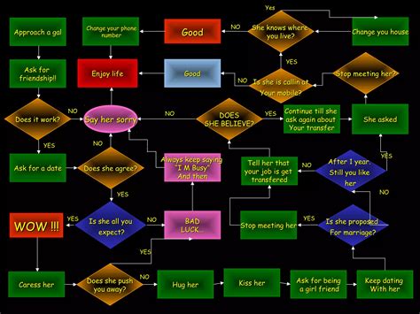 Best Flow Chart Ever Ppt