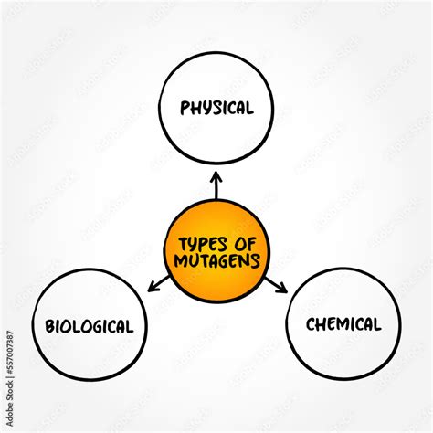 Types Of Mutagen Anything That Causes A Mutation A Change In The DNA Of A Cell Mind Map Text