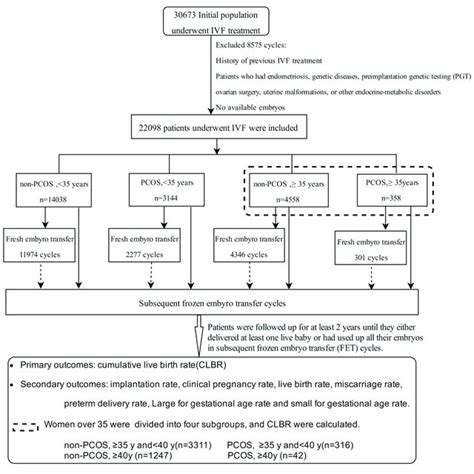 Treatment Scheme For The Minimal Stimulation Protocol Download Scientific Diagram