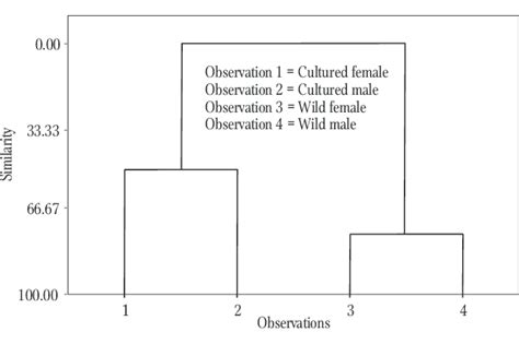 dendrogram with complete linkage and euclidean distance for