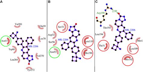 Comparison Of Mk 2206 Binding And Interacting Residues Of All Three