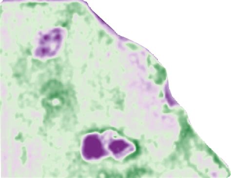 RasterMap Custom Color Schema GeoPard Tutorials