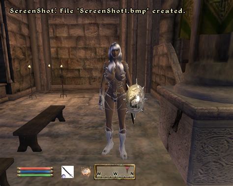 Ll Oblivion Gallery General Screenshots Thread Page 72 Oblivion
