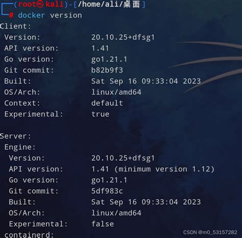 在 Kali Linux 上安装和配置 Dockerkali安装docker Csdn博客