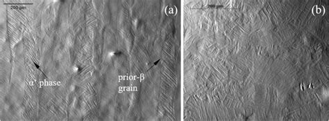 Lm Differential Interference Contrast Microstructure Of As Fabricated