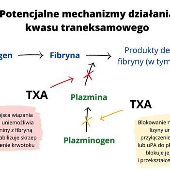 Potential Mechanizms Of Action Of TXA Download Scientific Diagram