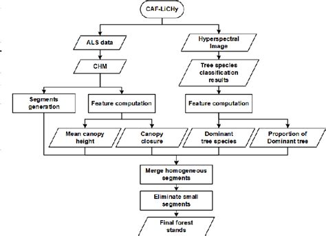 Figure 1 From Forest Stand Delineation Using Airborne Lidar And