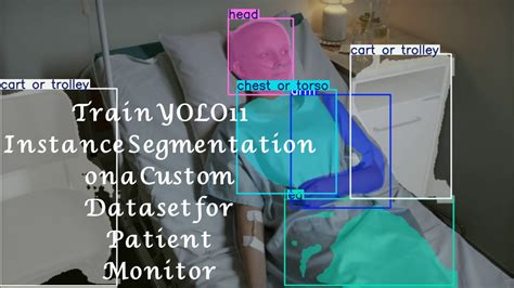 how to train yolo11 instance segmentation on a custom dataset for