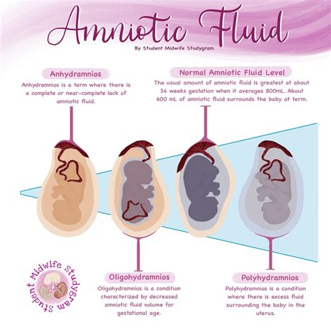 Student Midwife Studygram 💛💙💗💜 Blood Tests 💜💗💙💛 Heres A Table