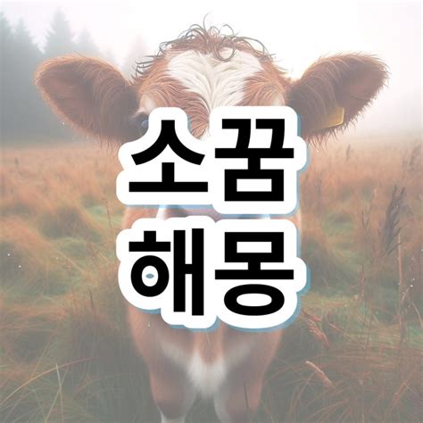 소꿈 해몽 소를 보는꿈 의미 알아봐요 네이버 블로그