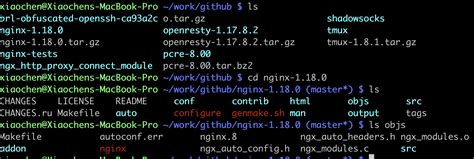 nginx [emerg] unknown directive proxy connect in · issue 157
