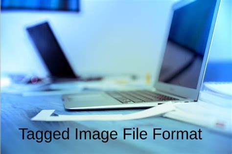 Rendering Tiff File With Wrong Colors · Issue 1101 · Open Mmlabmmcv