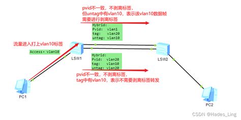 以太网 vlan数据帧格式、交换机接口类型介绍、u和t的区别和作用 vlan格式 csdn博客