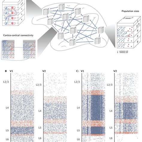 Spiking Neuronal Network Model Used To Evaluate Simulator Performance