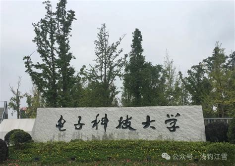 网络工程专业就业全景分析，从零基础入门到精通，收藏这一篇就够了！网络工程师就业 Csdn Csdn博客