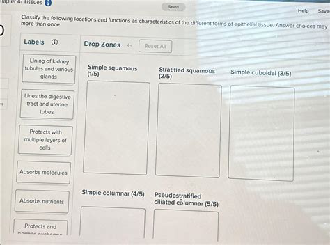 Solved Classify The Following Locations And Functions As