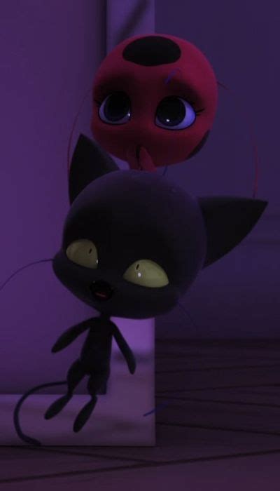 Tikki And Plagg Miraculous Ladybug S4 Kuro Neko Artofit