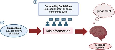Misinformation How The Brain Tricks Itself Cognition In Class