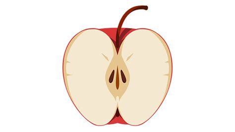 Pollination And Seed Spreading Ks2 Science Curriculum Bbc Bitesize