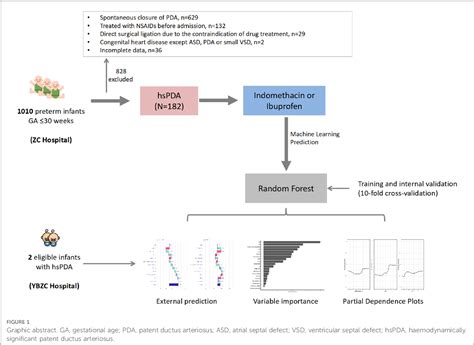 Figure 1 From An Interpretable Machine Learning Model For Predicting The Efficacy Of