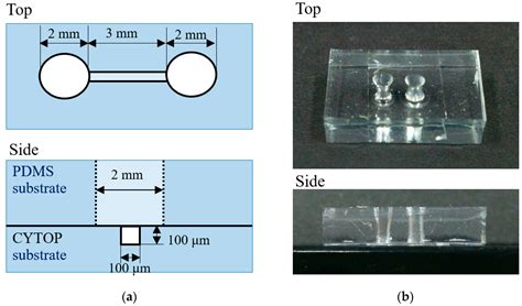 Micromachines Free Full Text Etching Assisted Ablation Of The Uv