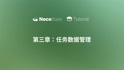 Nocobase Nocobase