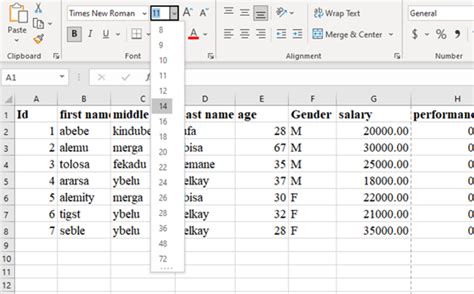 Font Formatting In Microsoft Excel Document Ethiop Site