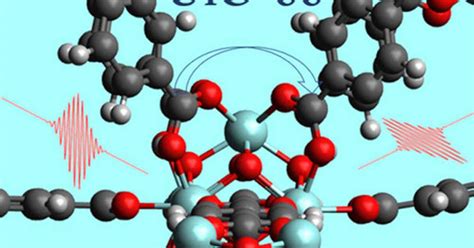 Direct Probing Of Vibrational Dynamics In A Metal Organic Framework