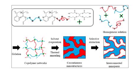 Cocontinuous Nanostructures By Microphase Separation Of Statistically Cross Linked Polystyrene