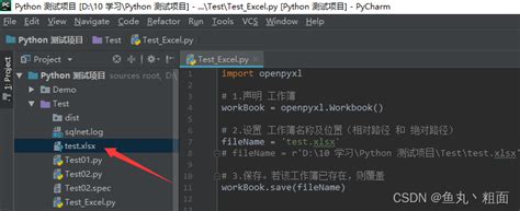 【精选】python 读取 Excel 详解（openyxl）openpyxl读取 Xlsx Csdn博客