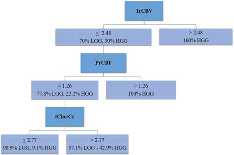 Figure 4 From Diagnostic Algorithm For Glioma Grading Using Dynamic