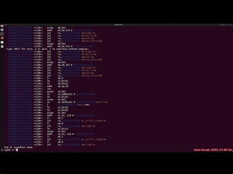 Free Video Risc V Assembly Binary Bomb Lab Introduction And Phase 1 Walkthrough Lecture 14